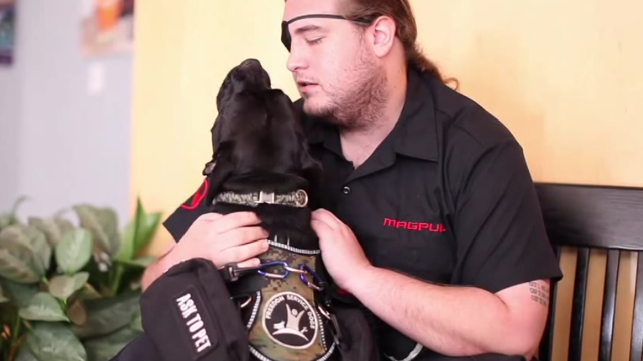 Watch This Powerful Short Film About Freedom Service Dogs | Explore
