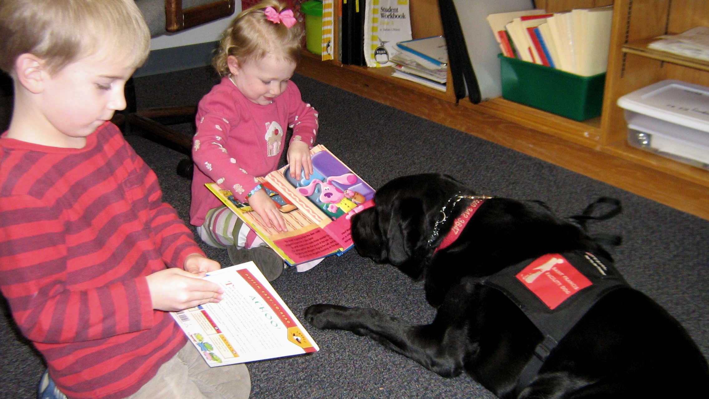 With a Service Dog, Children Learn in Many Ways | Explore