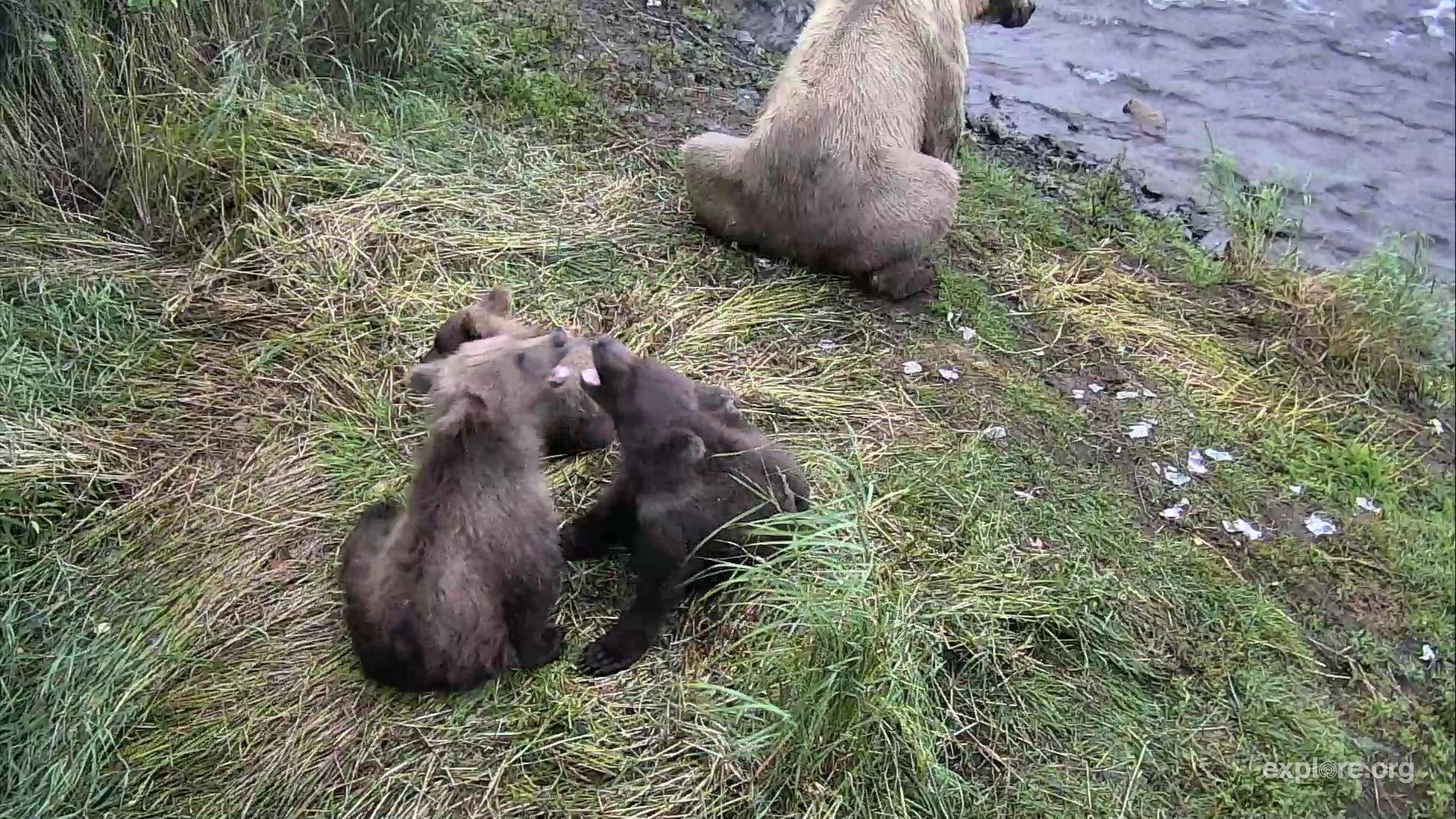 Summer Snapshot Contest Winners for July 26th | Explore