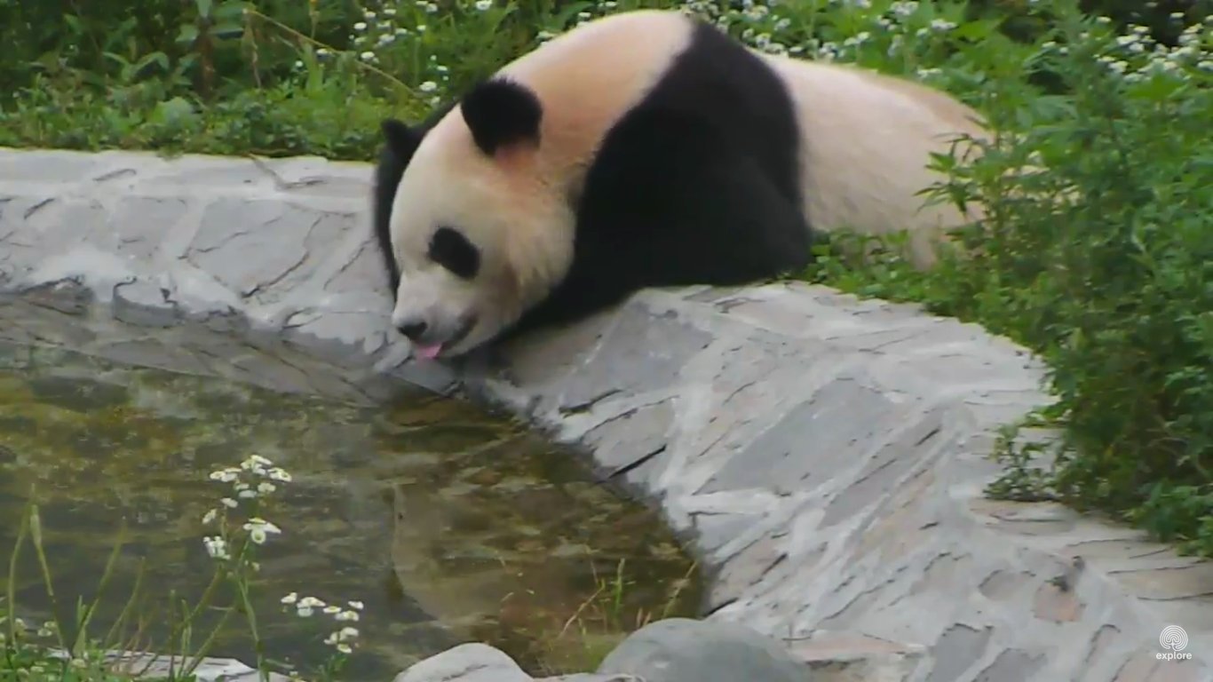 Summer Snapshot Contest Winners for July 22nd | Explore