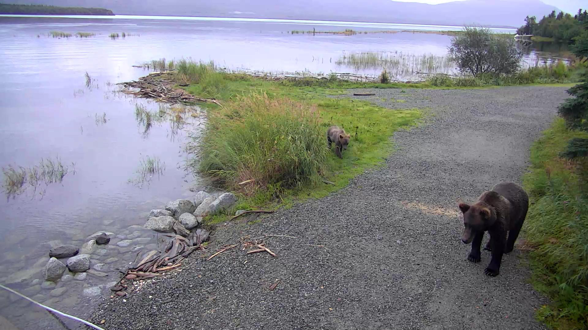 Summer Snapshot Contest Winner for August 25th | Explore