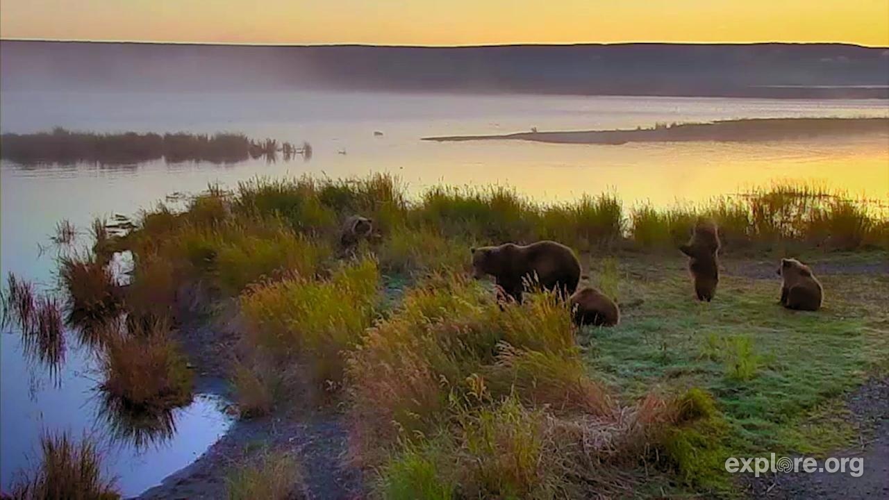 Summer Snapshot Contest Winners for August 5th | Explore