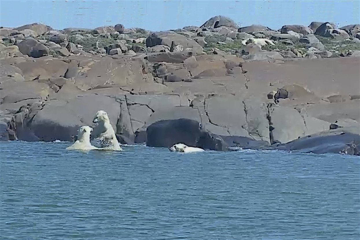 Summer Snapshot Contest Winners for August 16th | Explore