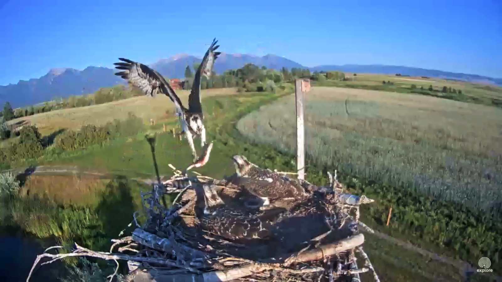 Summer Snapshot Contest Winners for August 2nd | Explore