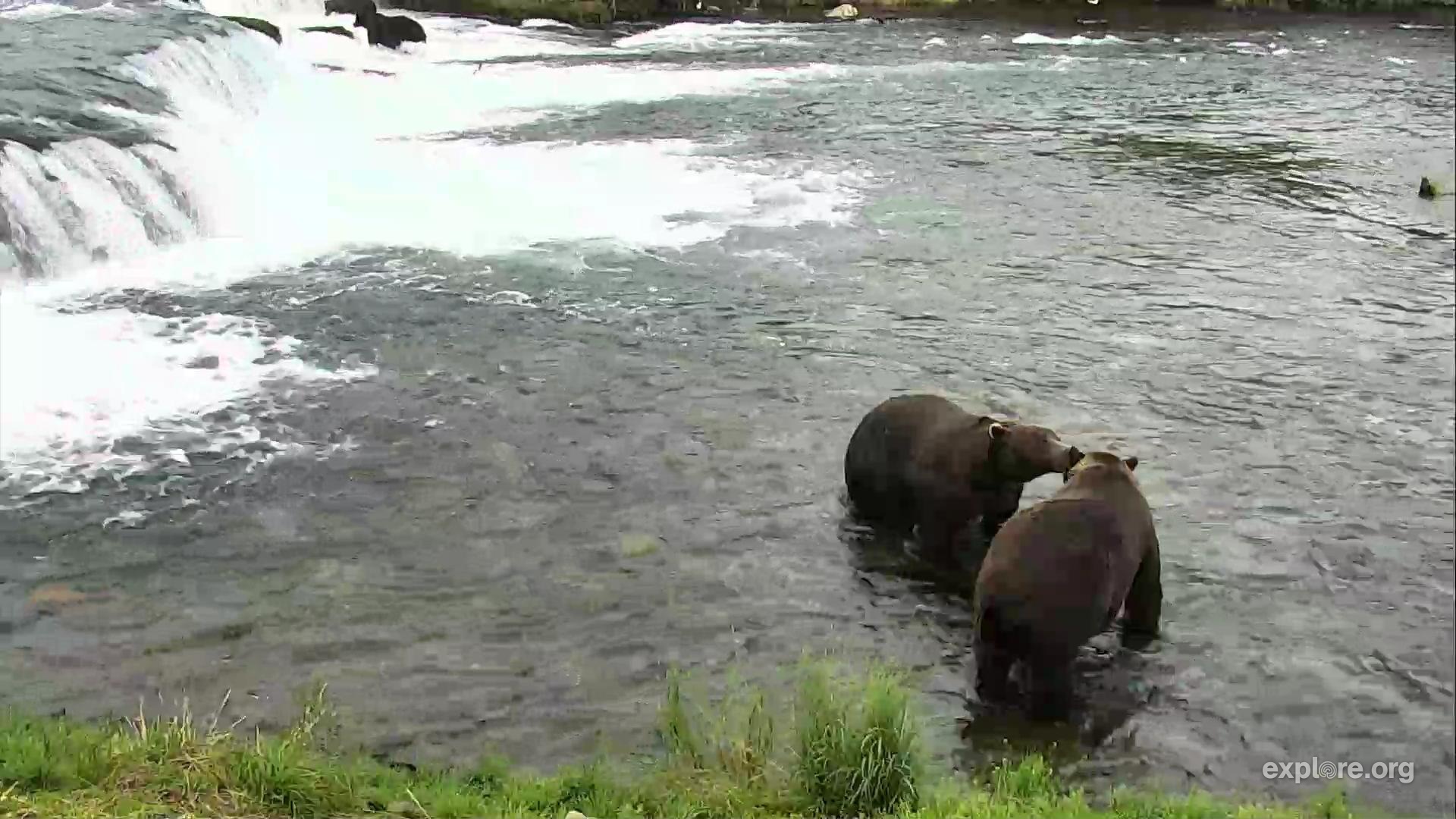 Summer Snapshot Contest Winners for August 29th | Explore