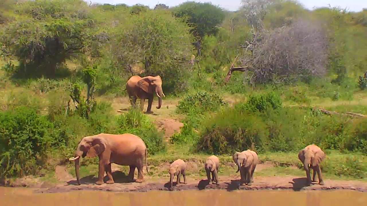 Summer Snapshot Contest Winners for August 19th | Explore