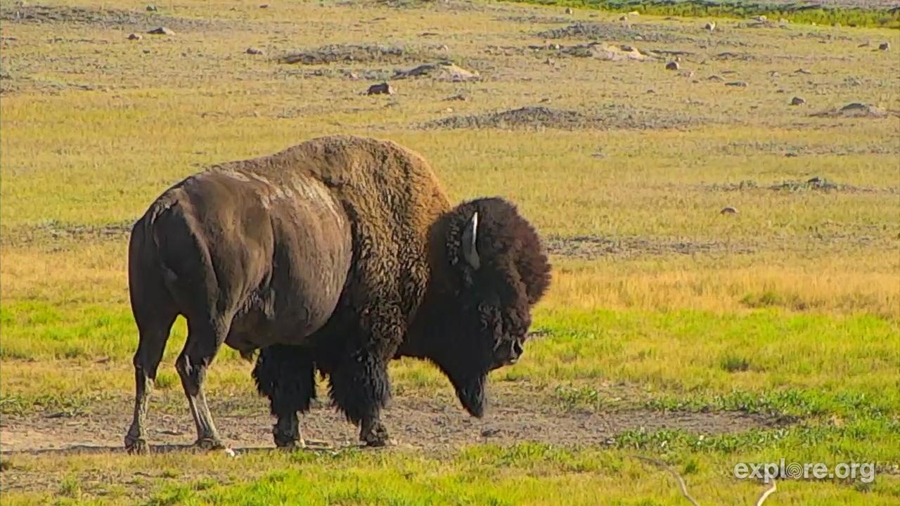 Summer Snapshot Contest Winners for August 19th | Explore