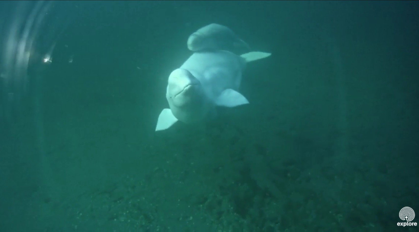 Summer Snapshot Contest Winners for August 19th | Explore