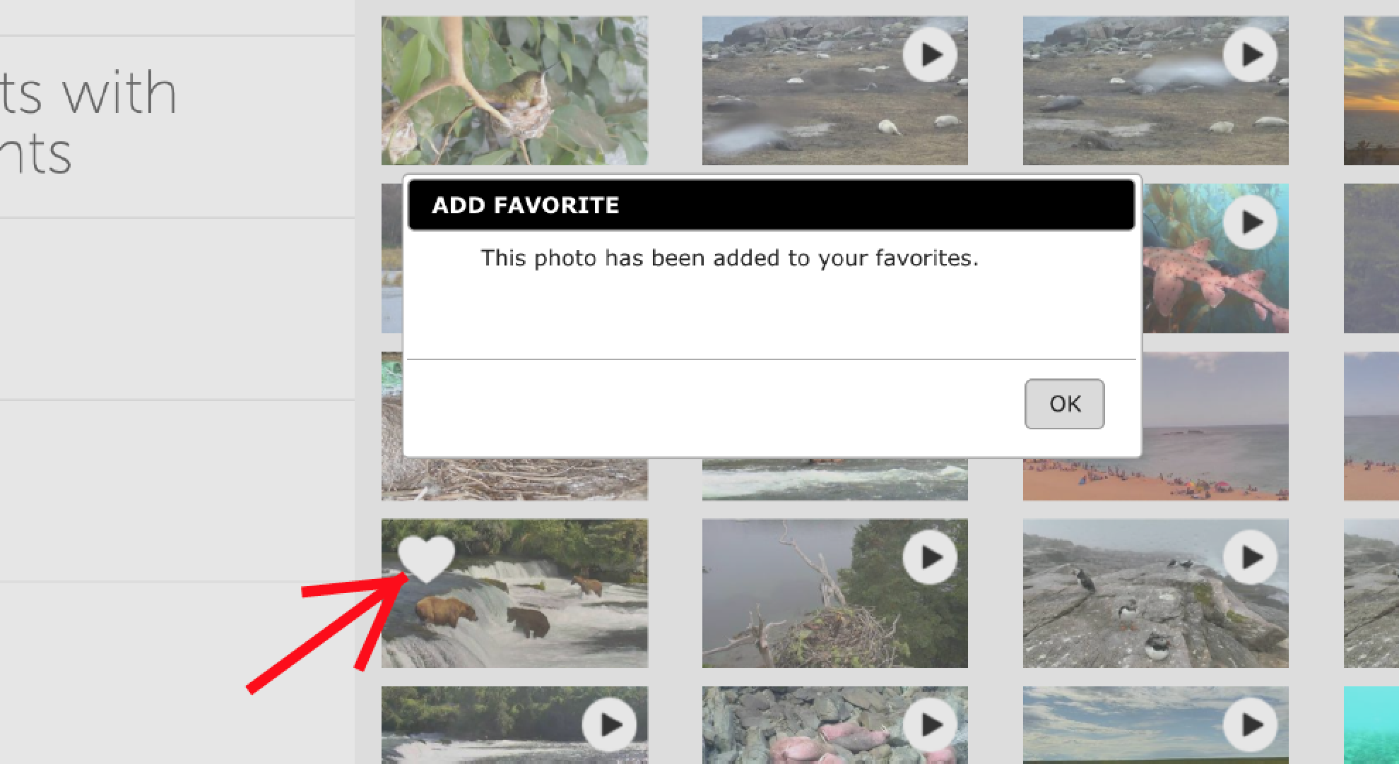 Fan Favorites Snapshot Contest! | Explore