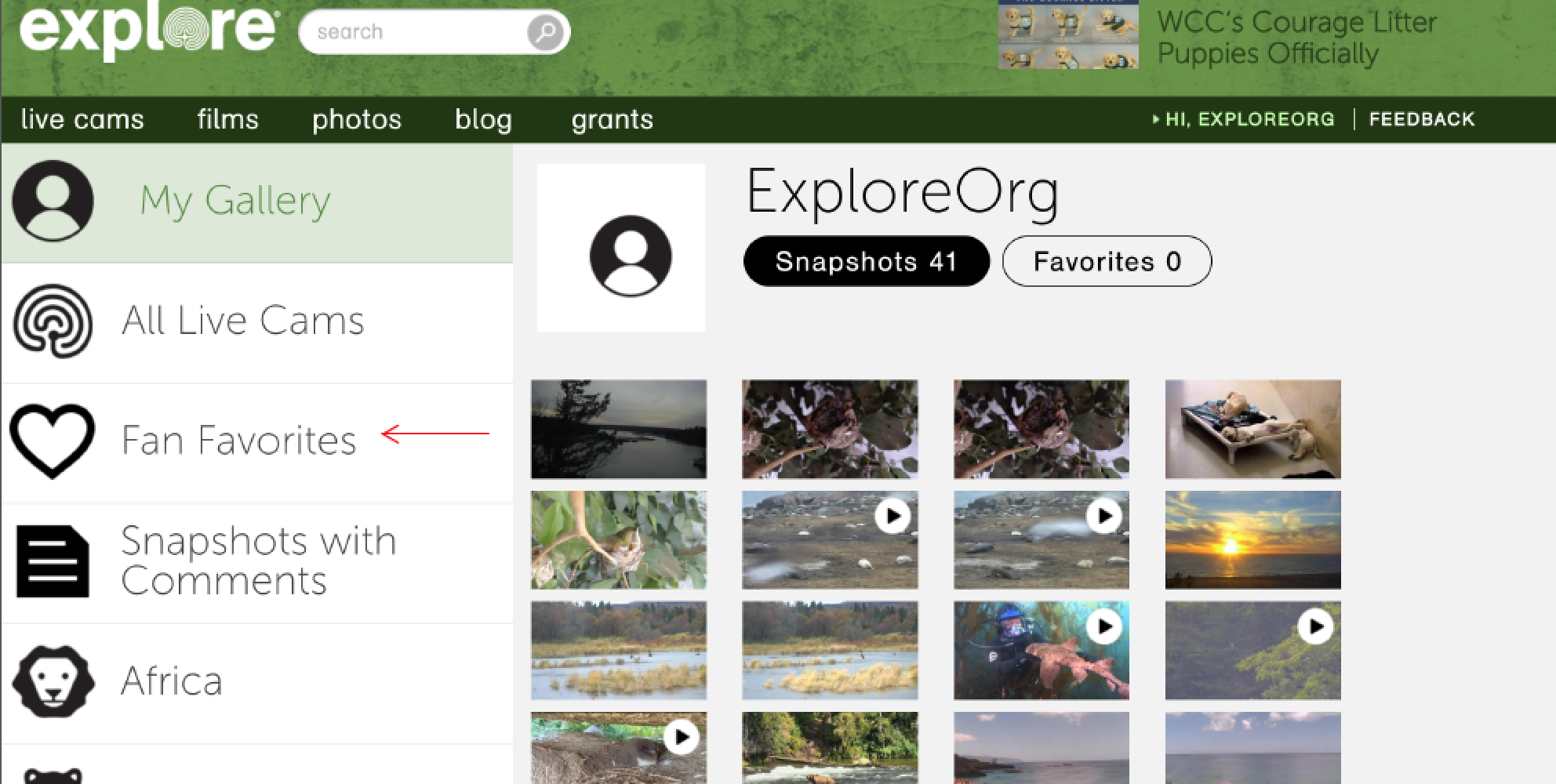 Fan Favorites Snapshot Contest! | Explore