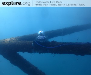 Behind the Live Cams of explore.org! | Explore