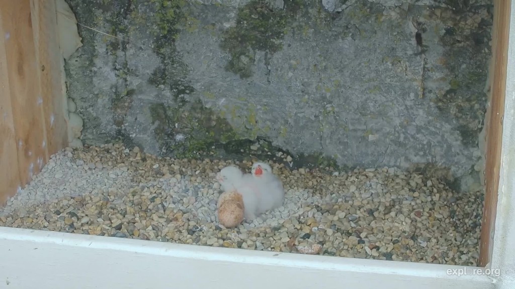 This Week on Explore (5/18) | Explore