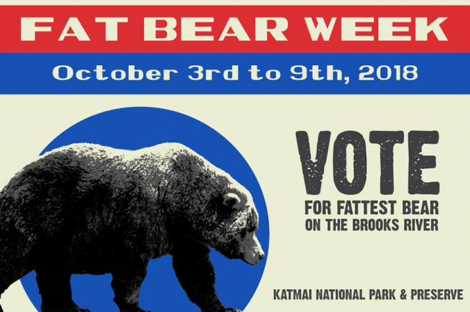 Bearcam Week in Review October 5 | Explore