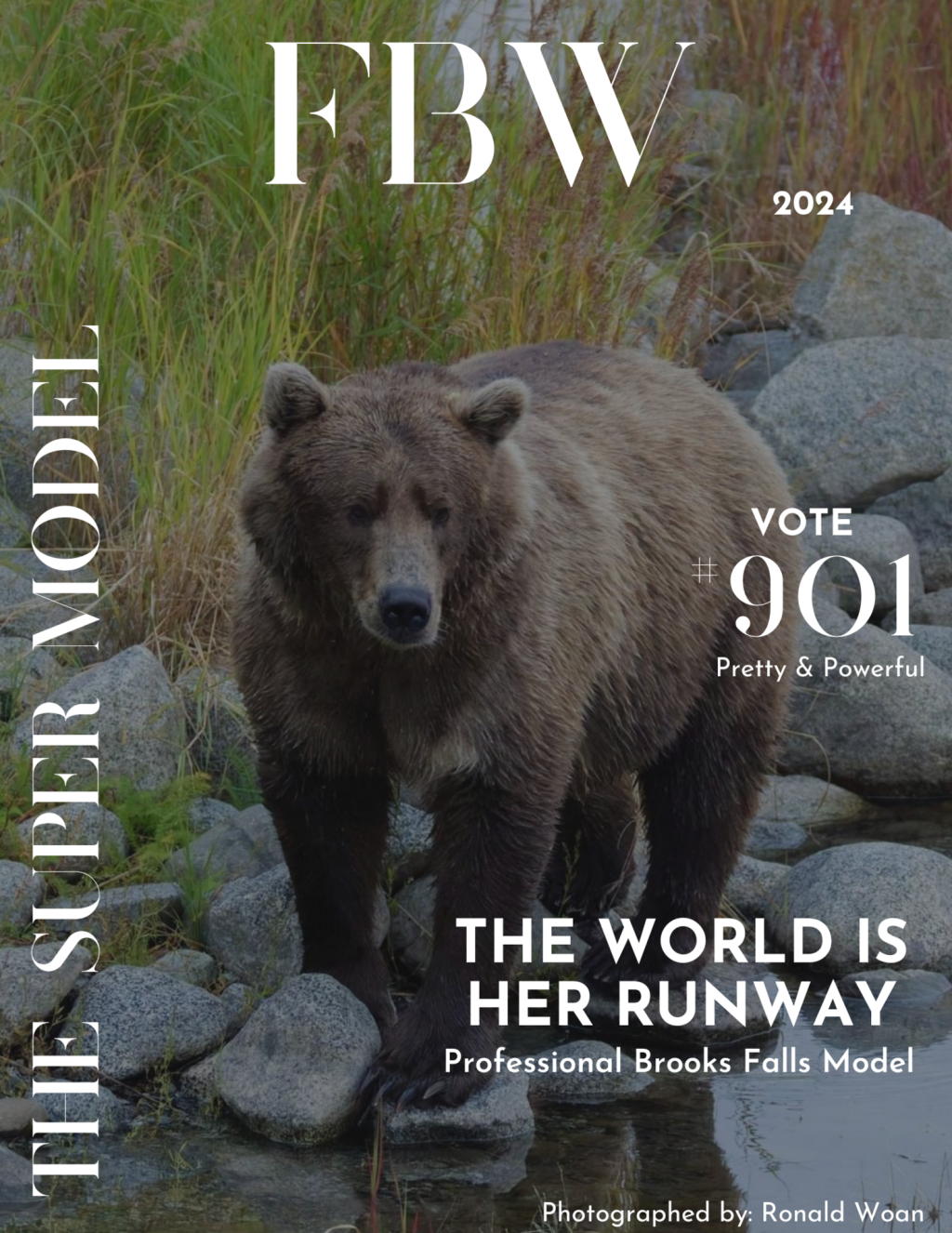 Fat Bear Week Campaign Poster Winners: 2024 | Explore