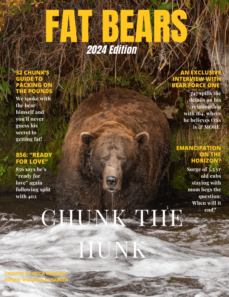 Fat Bear Week Campaign Poster Winners: 2024 | Explore