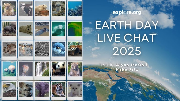 Explore.org’s Earth Day Spectacular | Explore