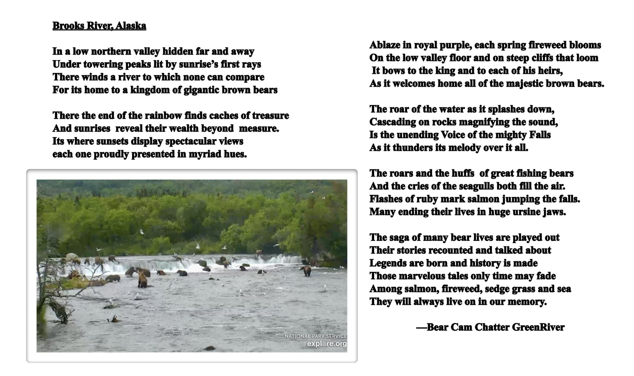 Bear Cam Fan Art 2025 Contest Winners | Explore